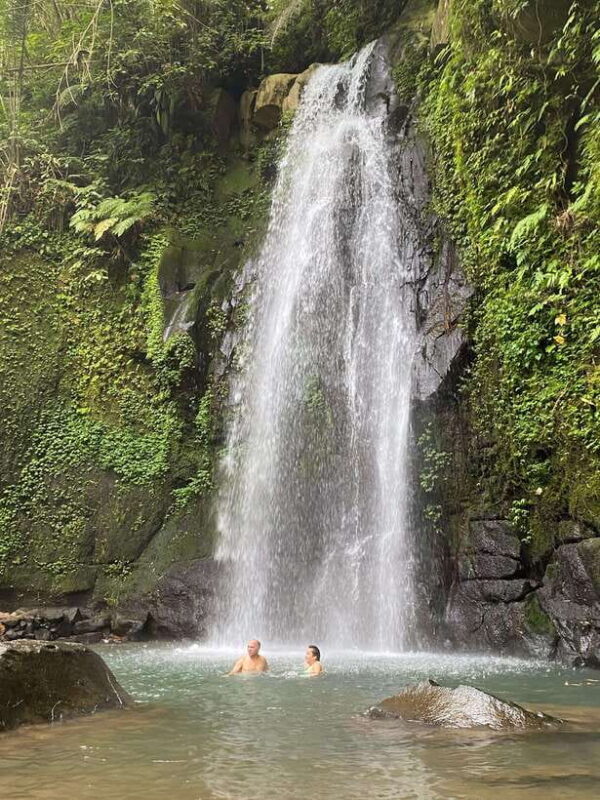 Ubud: Rice Terrace, Monkey Forest, Temple, & Waterfall - The Itinerary Breakdown