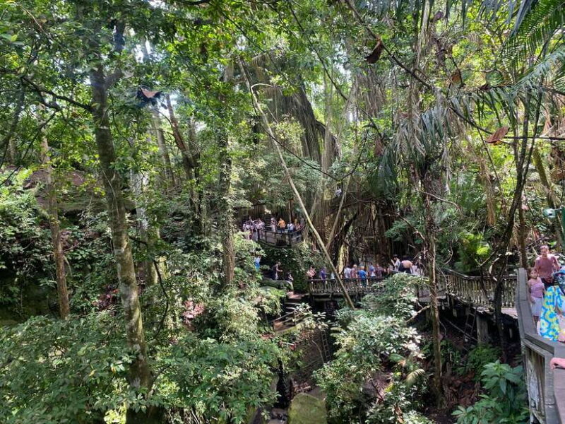 Ubud: Rice Terrace, Monkey Forest, Temple, & Waterfall - Practical Details