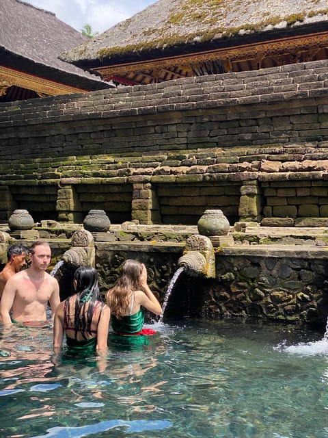 Ubud: Rice Terrace, Monkey Forest, Temple, & Waterfall - What Travelers Say