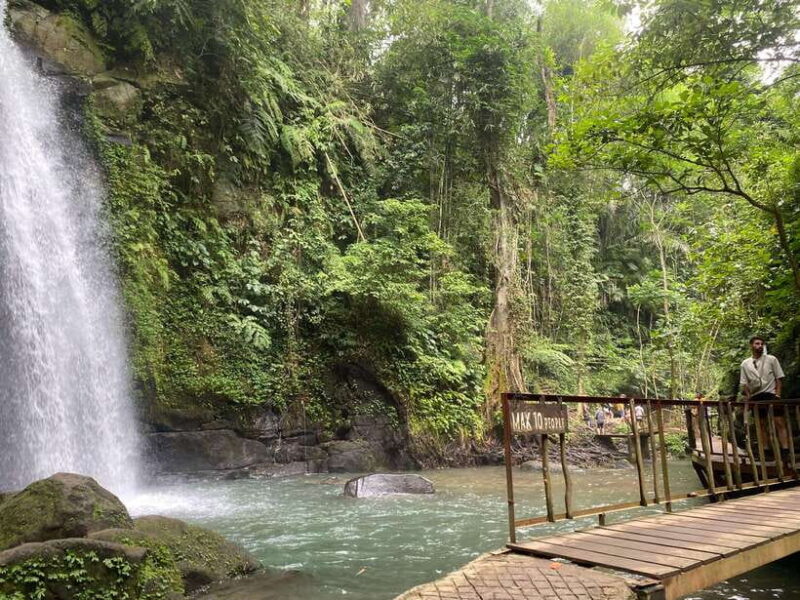 Ubud: Rice Terrace, Monkey Forest, Temple, & Waterfall - Final Thoughts