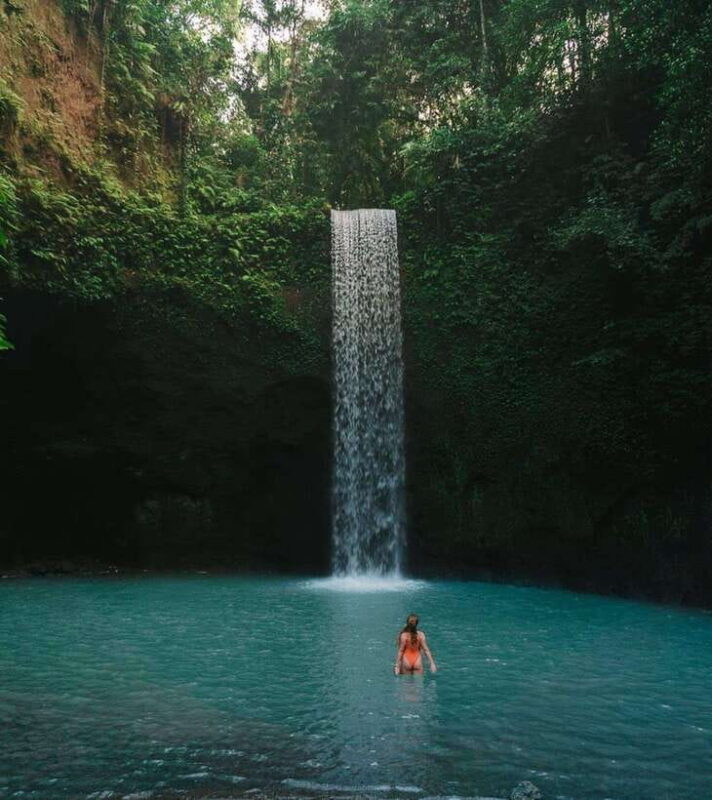 Ubud: Rice Terrace, Monkey Forest, Waterfall Private Tour - The Logistics: How the Tour Works