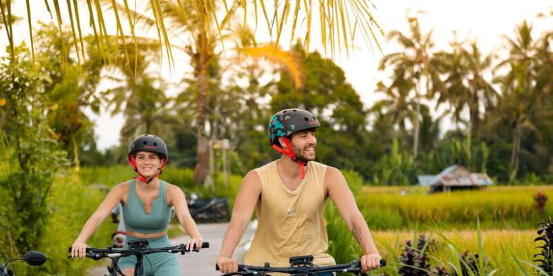 Ubud Rice Terrace & Villages E-Bike Tour by Alasan Adventure - Key Points
