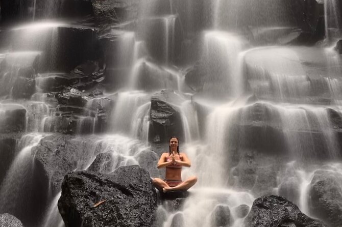 Ubud : Rice Terrace, water Temple and Waterfalls Private tour - The Sum Up