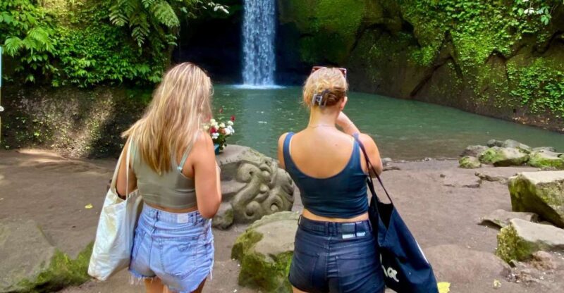 Ubud rice terrace, waterfall, and temple guided trip Bali - Who This Tour Is Best For