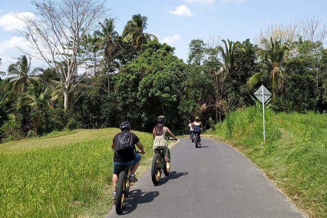 Ubud Rice Terraces eBike Private Tour - Breakdown of the Itinerary
