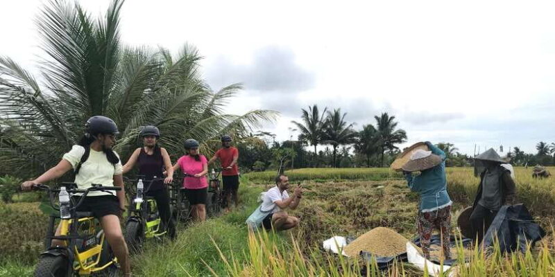Ubud: Rice Terraces & Villages Half-Day Fat Tire E-Bike Tour - Key Points