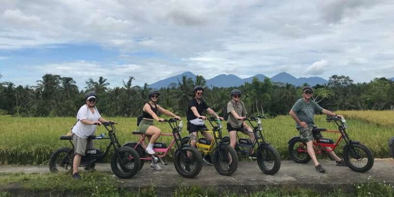 Ubud: Rice Terraces & Villages Half-Day Fat Tire E-Bike Tour - What Makes This Tour Stand Out?