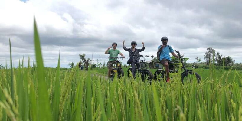 Ubud: Rice Terraces & Villages Half-Day Fat Tire E-Bike Tour - Final Thoughts