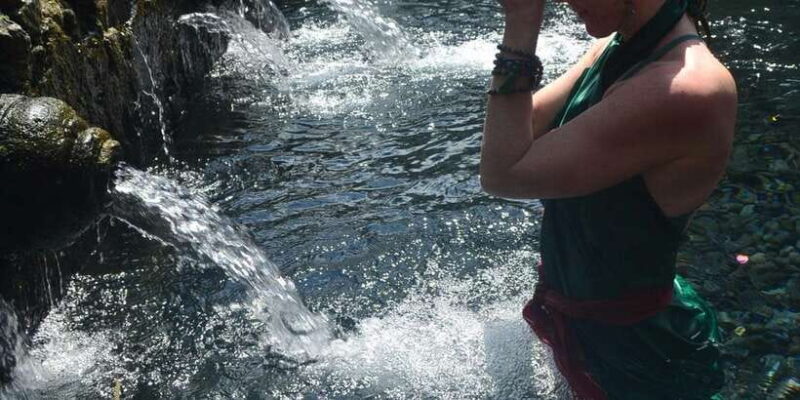 Ubud: Rice Terraces, Water Temple, & Waterfalls Private Tour - The Cost and Value