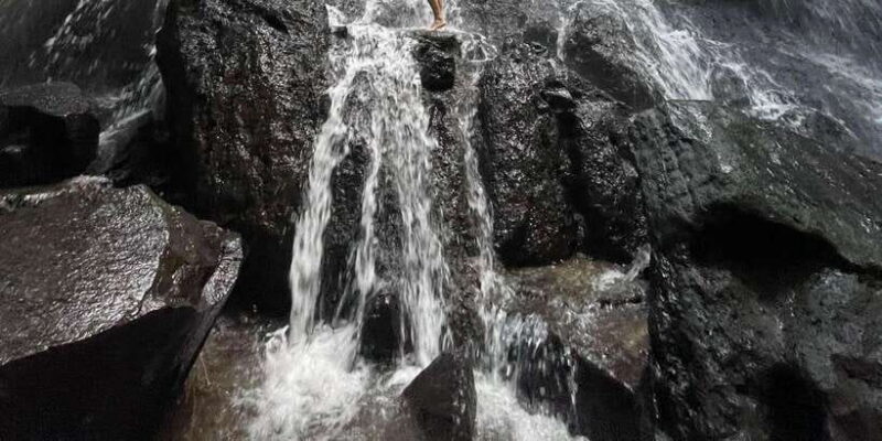 Ubud: Rice Terraces, Water Temple, & Waterfalls Private Tour - Who Will Love This Tour?