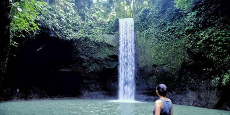 Ubud: Rice Terraces, Water Temple, & Waterfalls Private Tour - Final Thoughts