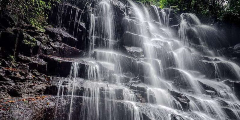 Ubud: Rice Terraces, Water Temple, & Waterfalls Private Tour - Who Should Consider This Tour?