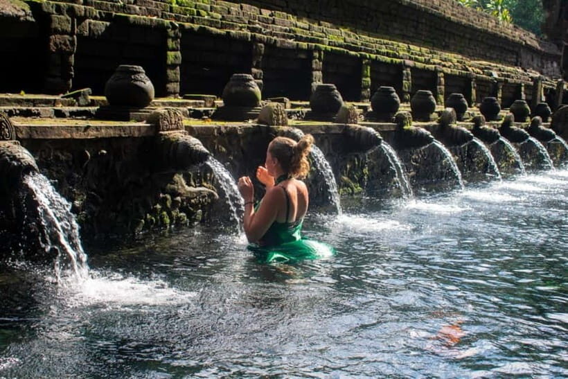 Ubud: Rice Terrace,Waterfall,Forest,Temple & Private Driver - Discovering Bali’s Natural Wonders and Sacred Sites