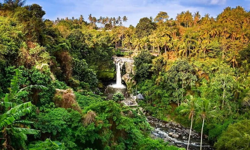 Ubud: Rice Terrace,Waterfall,Forest,Temple & Private Driver - Practicalities and What to Expect