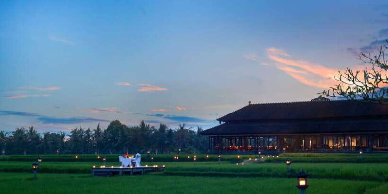 Ubud: Romantic Dinner among the Rice Fields - Key Points