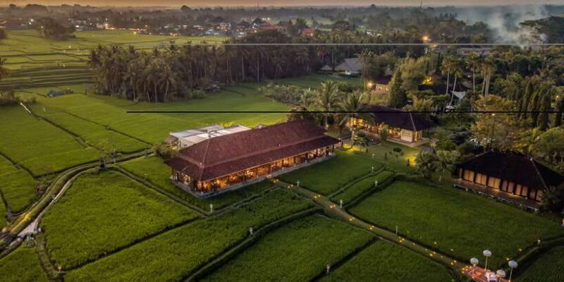 Ubud: Romantic Dinner among the Rice Fields - Who Will Love This Experience?