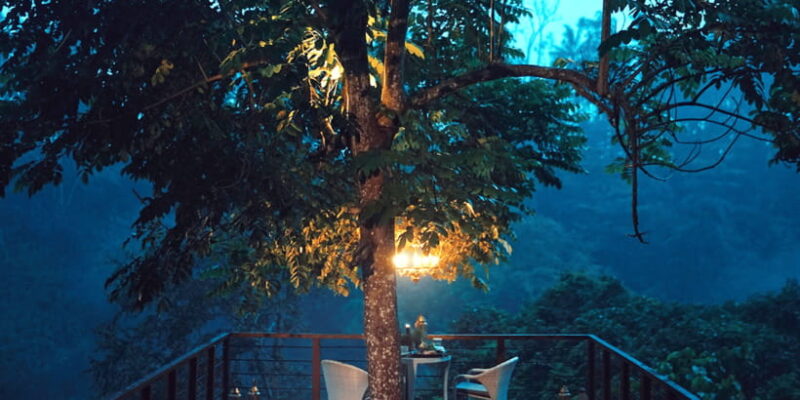 Ubud: Romantic Dinner on a Forest Tree Deck - Key Points