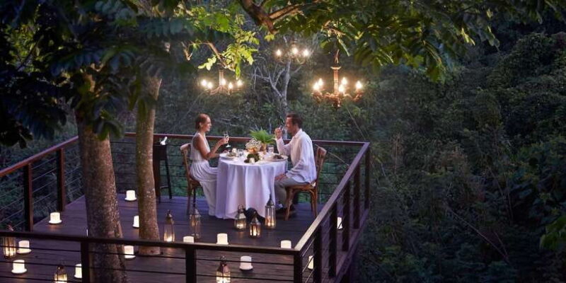Ubud: Romantic Dinner on a Forest Tree Deck - Authentic Experiences and Guest Feedback