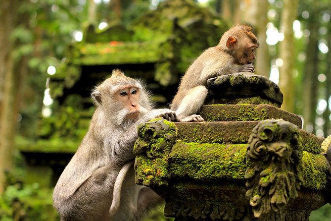 Ubud Sacred Monkey Forest & Art Village Tour - What Makes This Tour Stand Out?