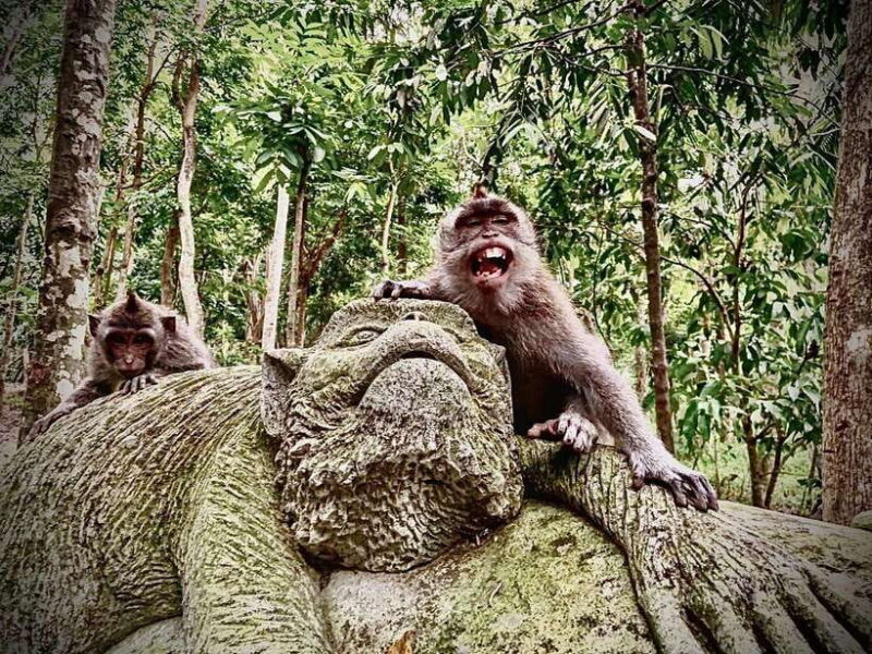 Ubud: Sacred Monkey Forest & Barong Cave ATV with Meal - Key Points