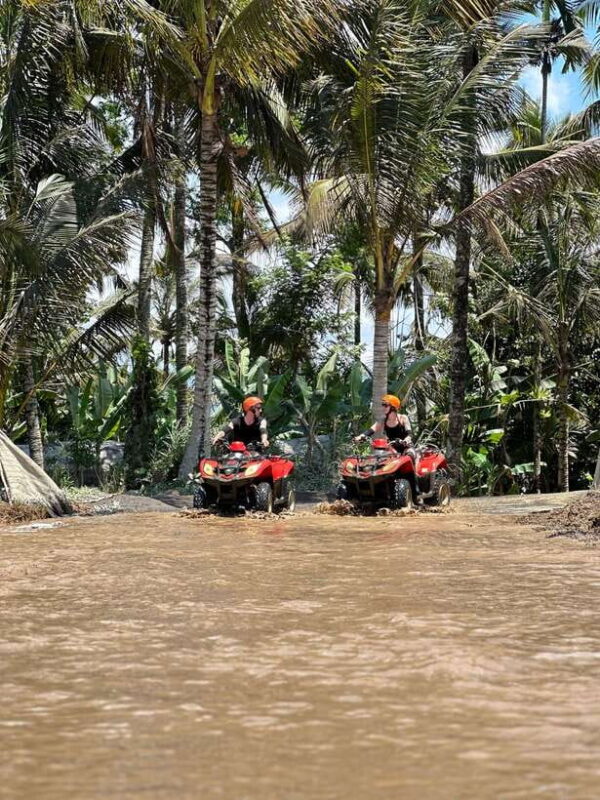 Ubud: Sacred Monkey Forest & Barong Cave ATV with Meal - Who Will Love This Tour?