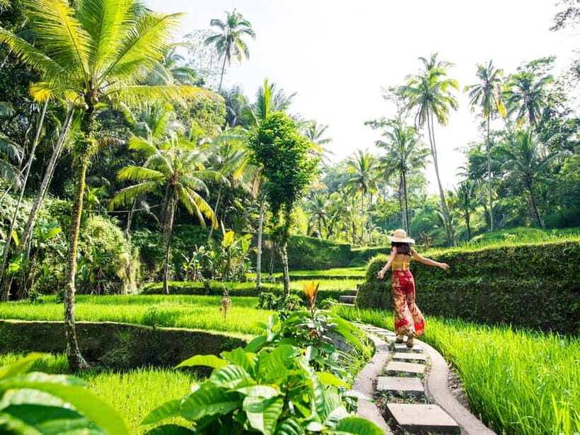 Ubud : Sacred Temples & Rice Terraces full day, Private Tour - The Sum Up