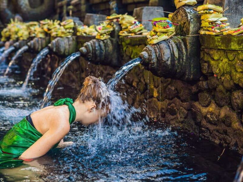 Ubud : Sacred Temples & Rice Terraces full day, Private Tour - Key Points