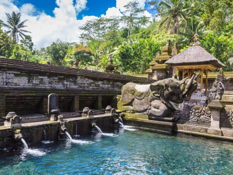 Ubud : Sacred Temples & Rice Terraces full day, Private Tour - Coffee Tasting and Relaxation at a Local Plantation