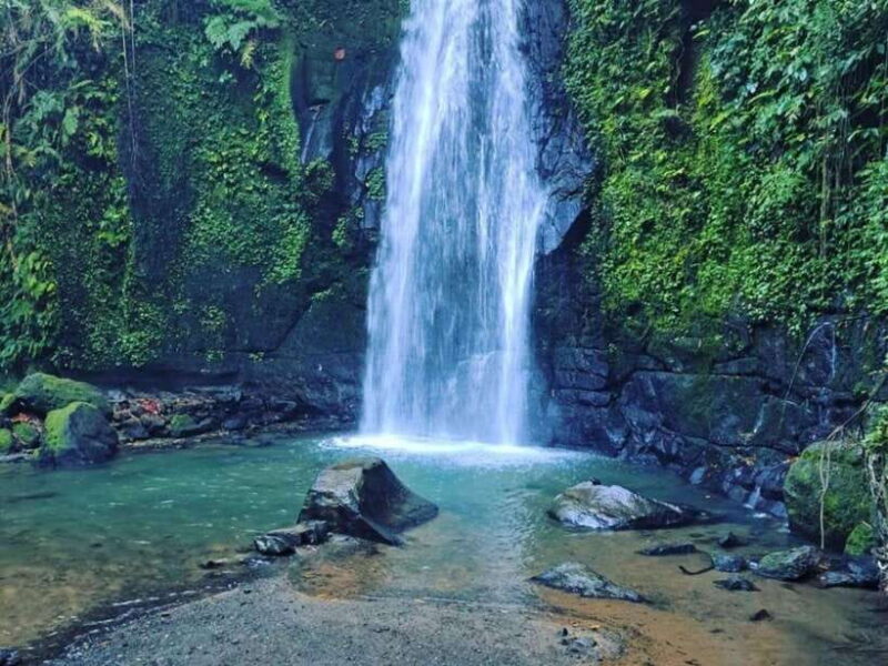 Ubud : Sacred Temples & Rice Terraces full day, Private Tour - Who Will Love This Tour?