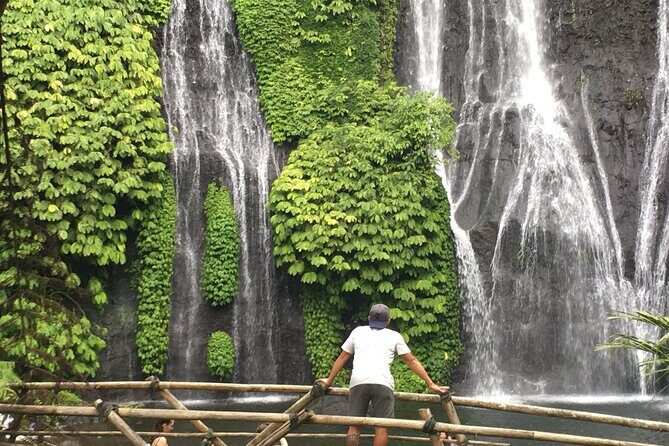 Ubud-Sanur to Menjangan area - Key Points