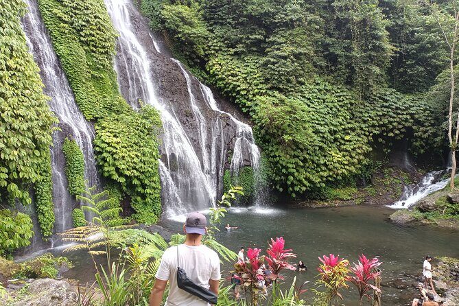 Ubud-Sanur to Menjangan area - The Sum Up
