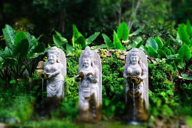 Ubud: Semi-Customized Private Tour with Live Guide - Overview and What to Expect