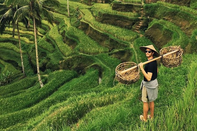 Ubud Sightseeing, Holy Water Temple & Waterfall - Exploring Bali’s Best in One Day