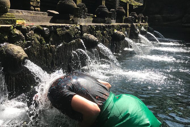 Ubud Sightseeing, Holy Water Temple & Waterfall - FAQs