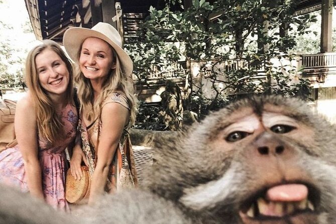 Ubud Skip the line Monkey Forest Sanctuary Ticket and Guided Tour - What the Reviews Say