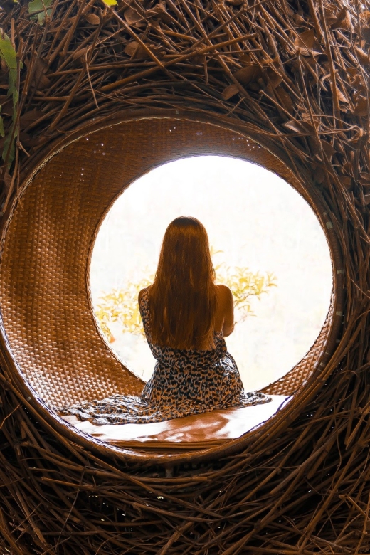 Ubud: Sky Bike Adventure, Swing & Rice Terrace with Transfer - What to Expect from the Tour