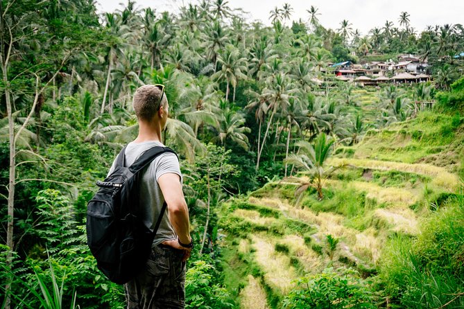 Ubud Small Group Tour: Monkey Forest, Tegalalang Rice Terraces and more - Analyzing the Value