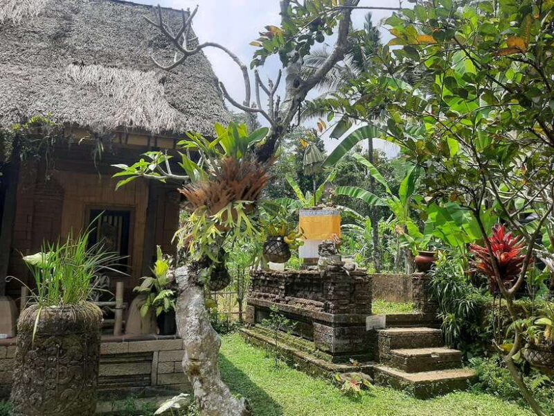 Ubud: Spiritual Experience Balinese Astrology and Blessing - The Sum Up