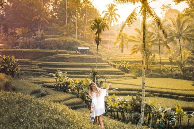 UBUD Spring Temple, Waterfall, Rice Terraces Private Tour - Who Will Love This Tour?