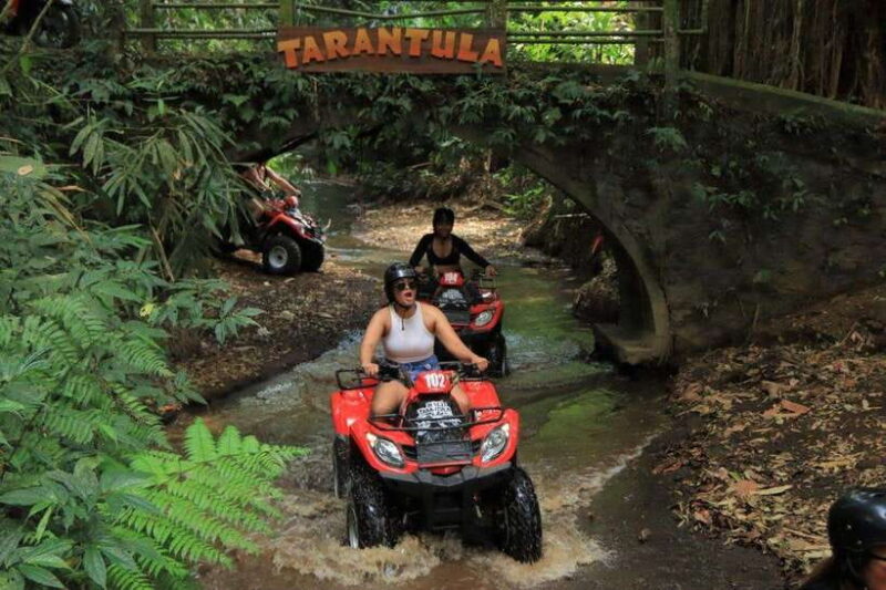 Ubud: Swing and ATV Adventure - FAQ