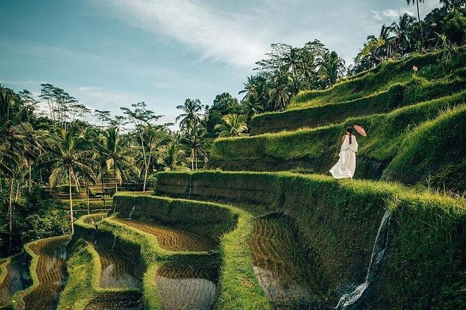 Ubud: Swing - Monkey Forest - Waterfall - Temple - Rice Terraces - Art Crafts - Who Will Love This Tour?
