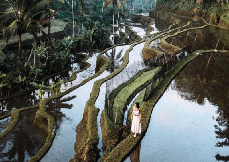 Ubud: Tegalalang Rice Terrace Photos Tour with Swing Ticket - Key Points