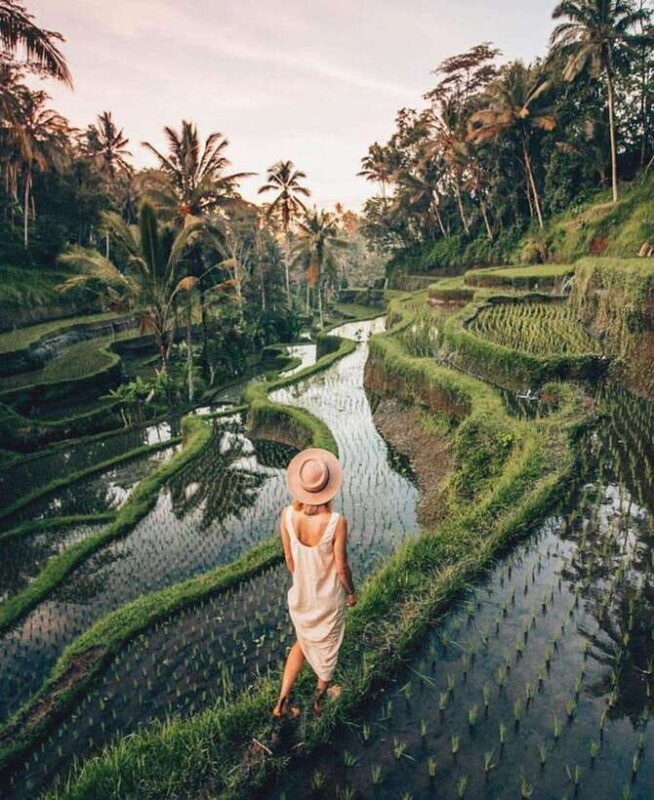 Ubud: The Artistic and Traditional Paradise of Bali - Who Will Appreciate This Tour?