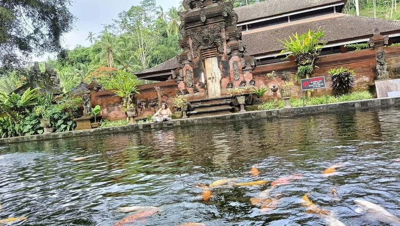 Ubud: Tirta Empul, Rice Terrace, Waterfall and Custom Tour - Key Points