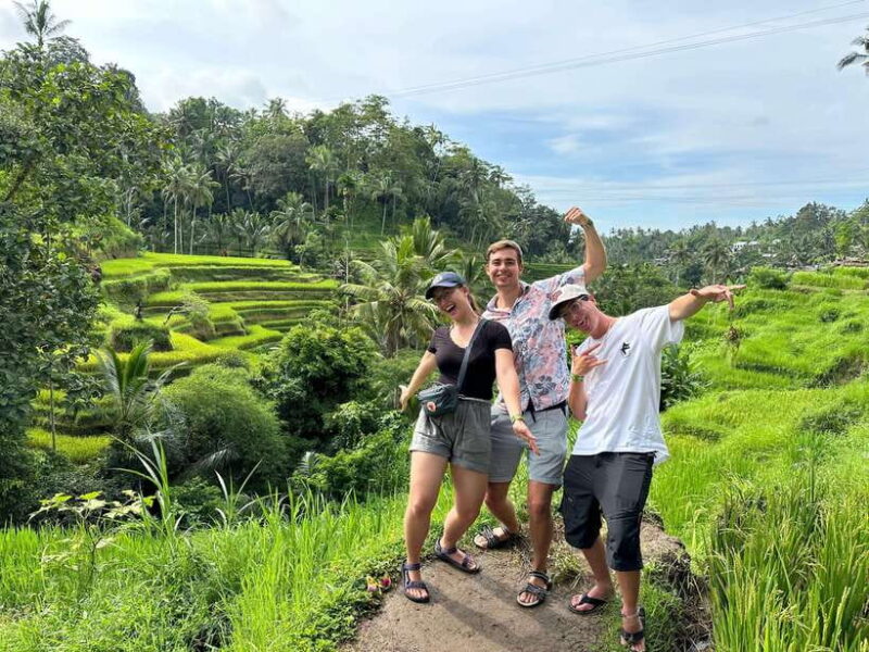 Ubud: Tirta Empul, Rice Terrace, Waterfall and Custom Tour - Key Points