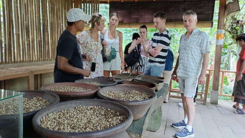 Ubud: Tirta Empul, Rice Terrace, Waterfall and Custom Tour - Wrapping It Up