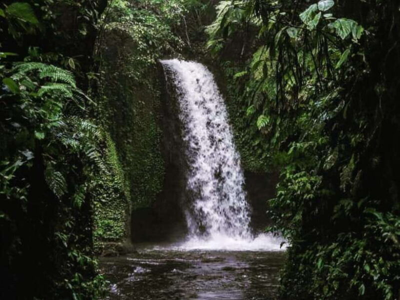 Ubud: Tirta Empul Temple, Rice Terraces, and Waterfall Tour - Ubud: Tirta Empul Temple, Rice Terraces, and Waterfall Tour – A Detailed Look