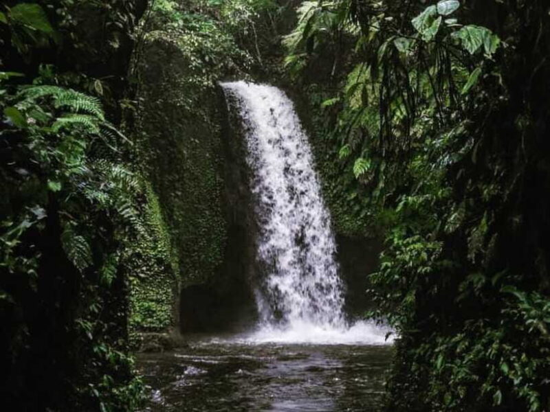 Ubud: Tirta Empul Temple, Rice Terraces, and Waterfall Tour - Who Will Benefit Most From This Tour?