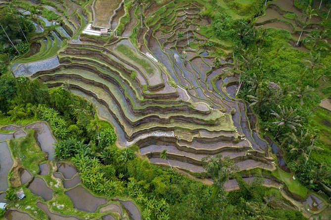 Ubud Top Attractions: Waterfalls, Temples and Rice Terraces - Transportation and Timing