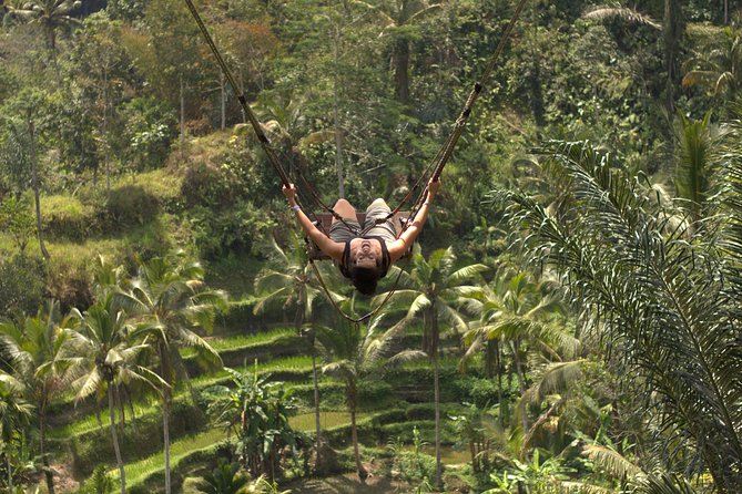 Ubud Top Attractions: Waterfalls, Temples and Rice Terraces - Authentic Experiences and Photo Opportunities